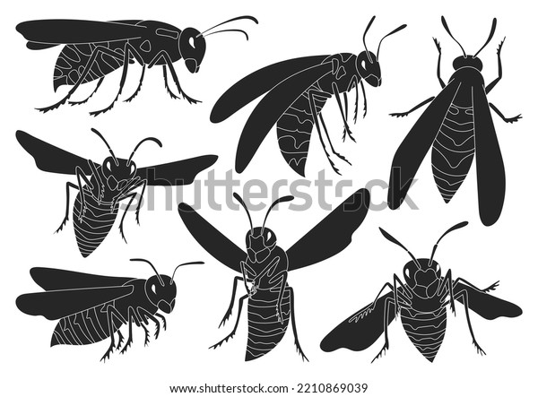 Wasp Vector Black Icon Set Collection Stock Vector (Royalty Free ...