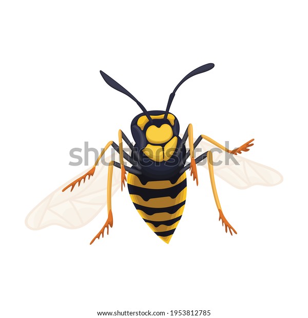 Wasp Vector Cartoon Icon Vector Illustration Stock Vector (Royalty Free ...