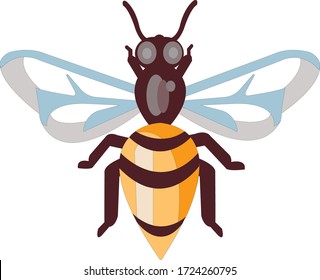 Wasp Vector Illustration Yellow Brown Stock Vector (Royalty Free ...