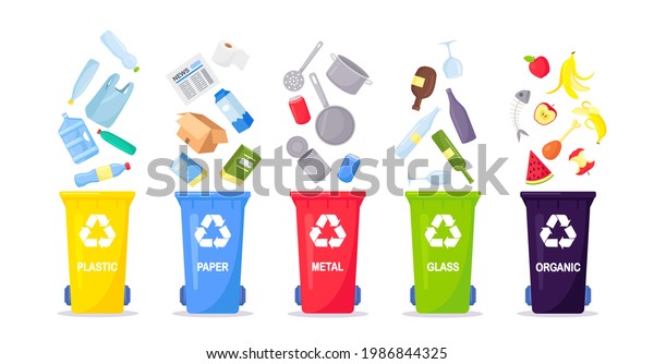 Waste Collection Segregation Recycling Garbage Separated 库存矢量图（免版税 ...