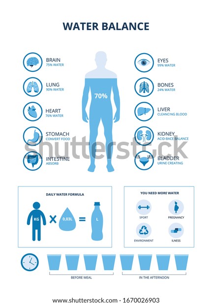 Water Balance Infographics Set Human Body Stock Vector (Royalty Free ...