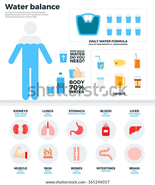 Water Balance Vector Flat Illustrations Human Stock Vector (Royalty ...