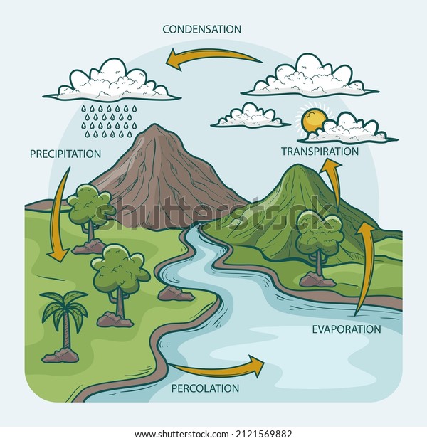 Water Cycle Infographic Ecosystem Concept Water: เวกเตอร์สต็อก (ปลอดค่า ...