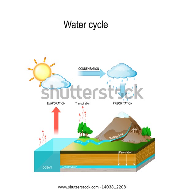 Water Cycle Nature Environment Sun Which Stock Vector (Royalty Free ...