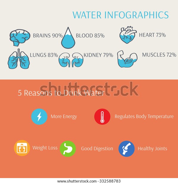 Water Human Body Infographics Vector Illustration Stock Vector (Royalty ...