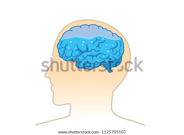 Water Inside Human Brain Illustration About Stock Vector (Royalty Free ...