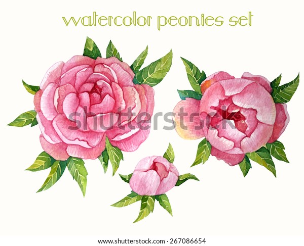 「Watercolor Flowers Set Hand Drow Painting」のベクター画像素材（ロイヤリティフリー ...