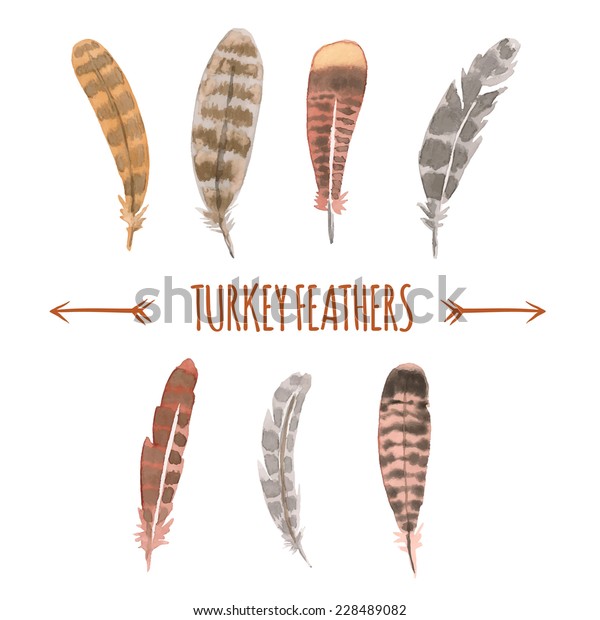Watercolor Turkey Feathers Collection Stock Vector (Royalty Free ...