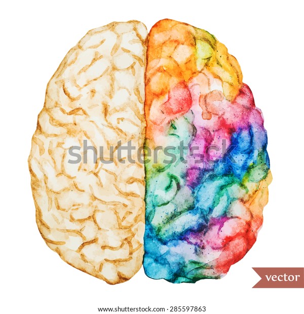 Watercolor Vector Illustration Colored Brain Two Stock Vector (Royalty ...