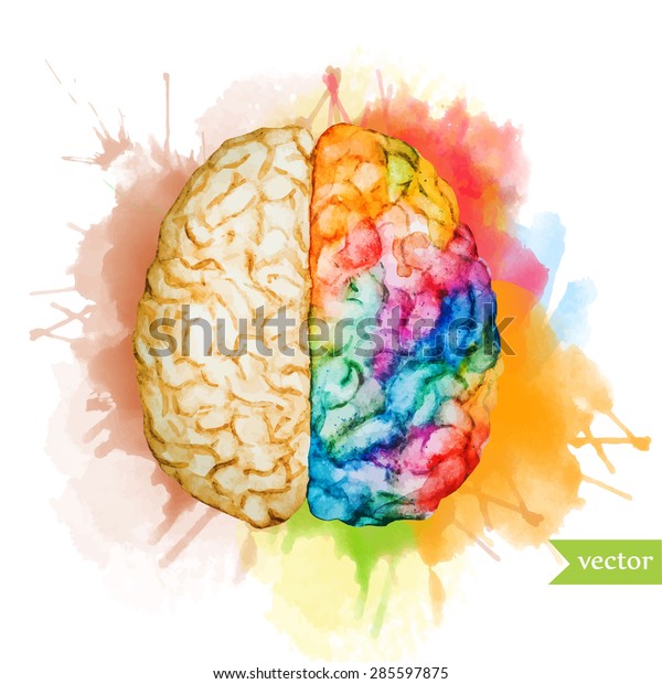 Watercolor Vector Illustration Colored Brain Two Stock Vector (Royalty ...