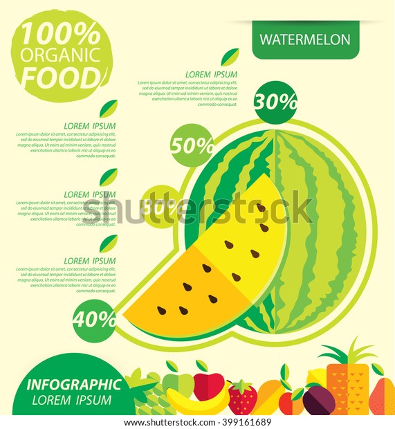 Watermelon Infographic Template Vector Illustration Stock Vector ...