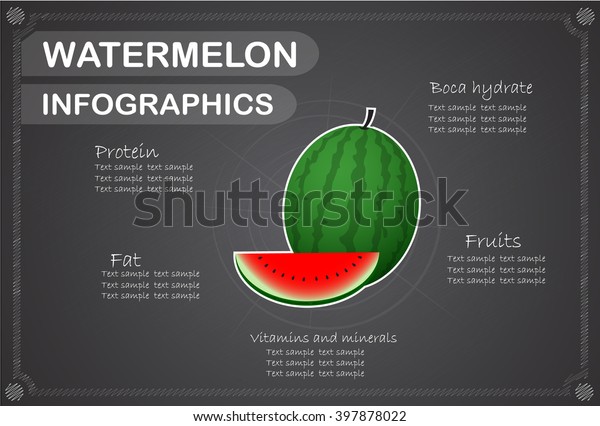 Watermelon Infographics Fruit Vector Illustration Stock Vector (Royalty ...