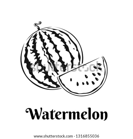 Watermelon Clipart Black And White | Free download on ClipArtMag
