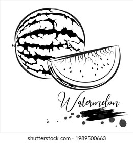 Watermelon Line Art Vector Illustration Stock Vector (Royalty Free ...