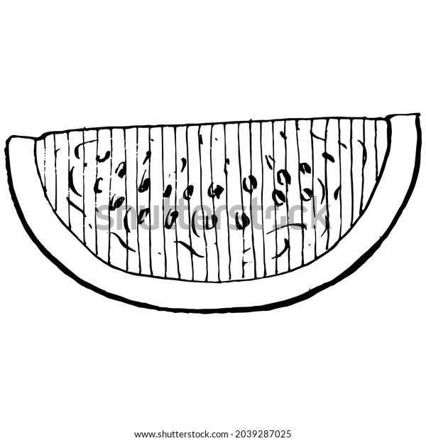 Dibujo vectorial de la sandía. Berry: vector de stock (libre de ...