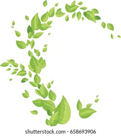 Wave Green Leaves Stock Vector (Royalty Free) 658693906 | Shutterstock