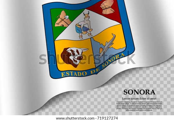Waving Flag Sonora State Mexico On: เวกเตอร์สต็อก (ปลอดค่าลิขสิทธิ์ ...