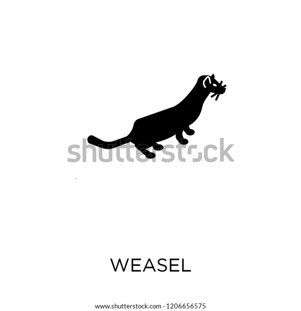 Weasel Icon Weasel Symbol Design Animals Stock Vector (Royalty Free ...