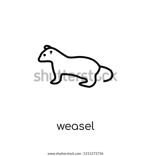 Weasel Icon Trendy Modern Flat Linear Stock Vector (Royalty Free ...