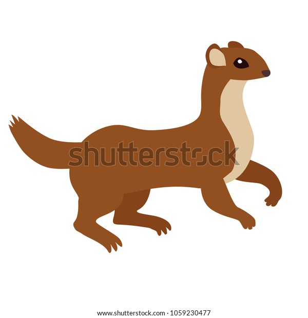 Weasel Isolated On White Cartoon Flat Stock Vector (Royalty Free ...