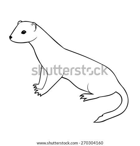 Weasel Outline Illustration Stock Vector (Royalty Free) 270304160 ...