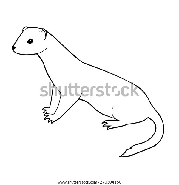 Weasel Outline Illustration Stock Vector (Royalty Free) 270304160