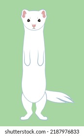 Weasel Stands Full Growth Stock Vector (Royalty Free) 2187976833 ...