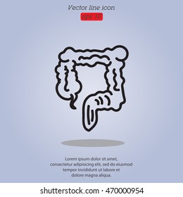 Web Line Icon Colon Large Intestine Stock Vector (Royalty Free ...