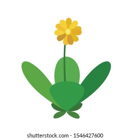 Wedelia Yellow Flower Vector Design Stock Vector (Royalty Free ...