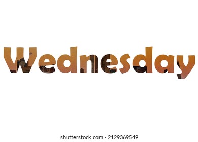 Wednesday Colorful Typography Text Banner Vector Stock Vector (Royalty ...