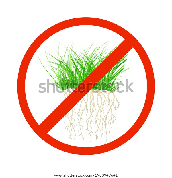 Weed Control Sign Isolated On White Stock Vector (Royalty Free) 1988949641