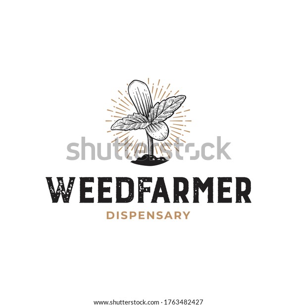 Weed Farmer Dispensary Rustic Hand Drawn Stock Vector (Royalty Free ...