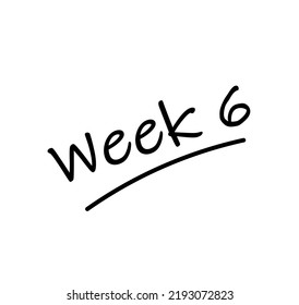 3,265 6 Weeks Icon Images, Stock Photos & Vectors | Shutterstock