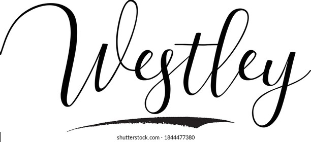 Caligrafía cursiva de nombre William-Male sobre: vector de stock (libre ...