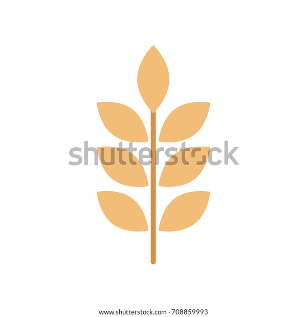 Wheat Barley Ears Branch Grains Harvest: เวกเตอร์สต็อก (ปลอดค่า ...