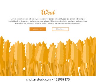 Wheat Ears Vector Web Banner Flat Stock Vector (Royalty Free) 451989175 ...
