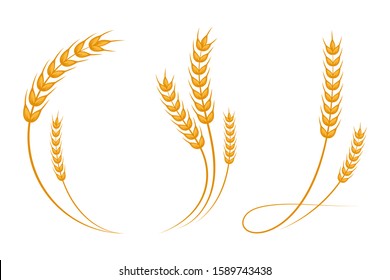 Wheat Elements Vector Design Agriculture Wheat Stock Vector (Royalty ...