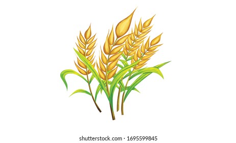 Wheat Paddy Crop Vector Illustration Stock Vector (Royalty Free ...