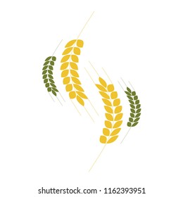 Wheat Paddy Logo Stock Vector (Royalty Free) 1162393951 | Shutterstock