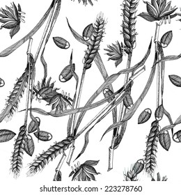 2,951 Wheat botanical drawing Images, Stock Photos & Vectors | Shutterstock