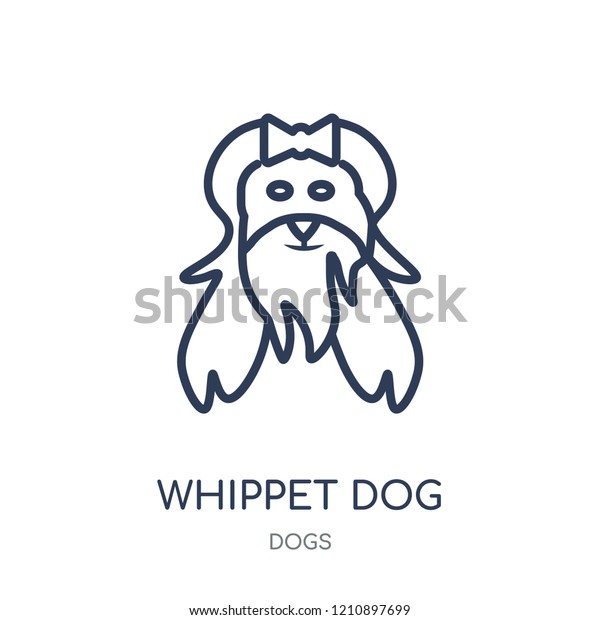 Whippet Dog Icon Whippet Dog Linear Stock Vector (Royalty Free) 1210897699