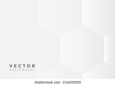 White Abstract Texture Minimal Vector Background Stock Vector (Royalty ...
