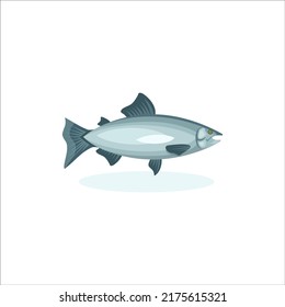 White Background Salmon Illustration Vector Stock Vector (Royalty Free ...