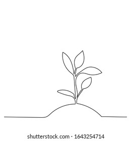 White Background Single Line Drawing Sprout: เวกเตอร์สต็อก (ปลอดค่า ...