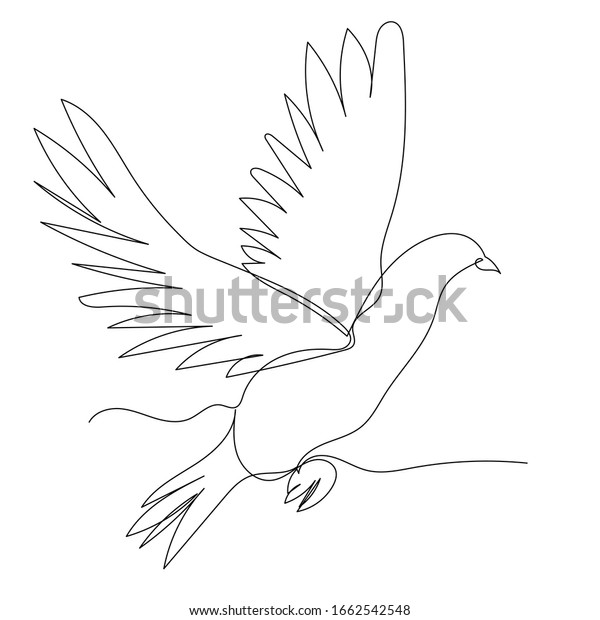 White Background Single Pigeon Line Drawing Stock Vector (Royalty Free ...
