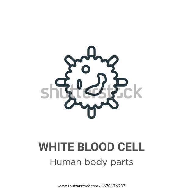 White Blood Cell Outline Vector Icon Stock Vector (Royalty Free ...