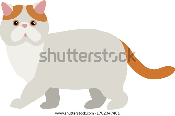 White Cat Munchkin Cat Vector Cartoon Stock Vector (Royalty Free ...