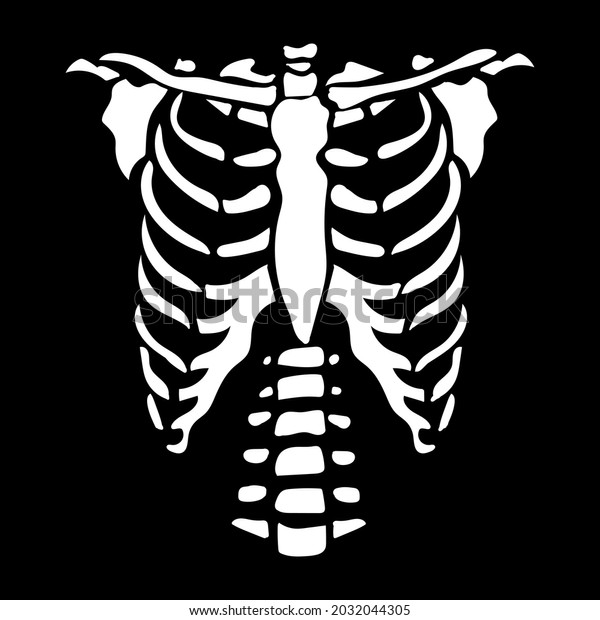 110 T Shirt Rib Cage Design Images, Stock Photos & Vectors | Shutterstock