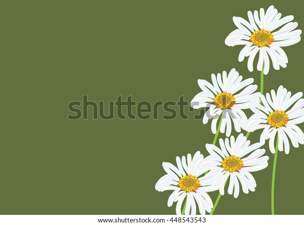 White Daisy Flowers Isolated Drawing Vector Stock Vector (Royalty Free ...