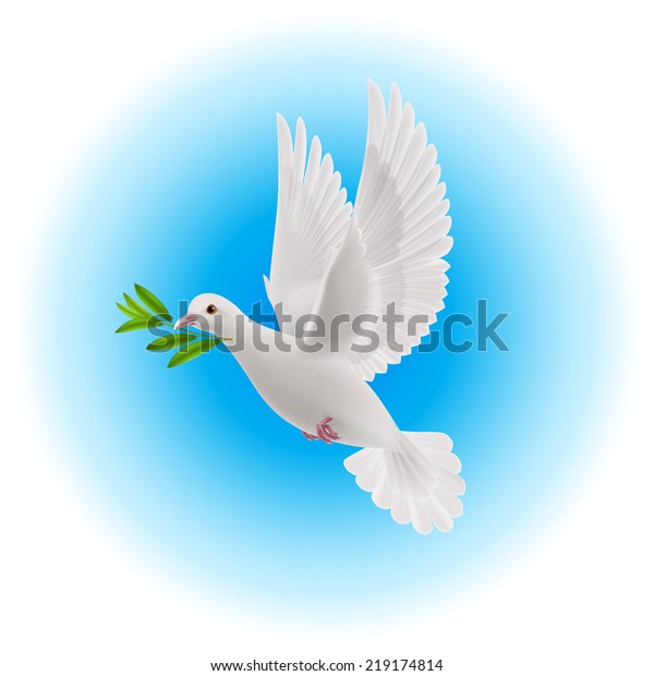 White Dove Flying Olive Twig Beak 스톡 벡터(로열티 프리) 219174814 | Shutterstock